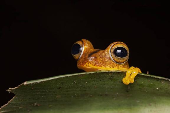 Prizes · The Nature Photography Contest