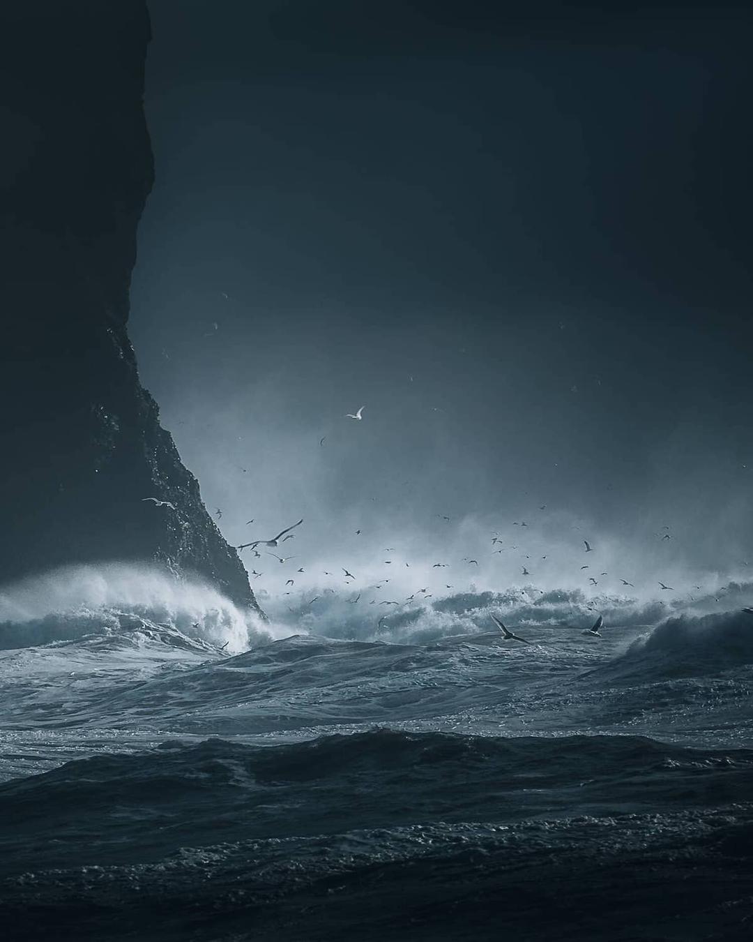 Luke Stackpoole · The Nature Photography Contest