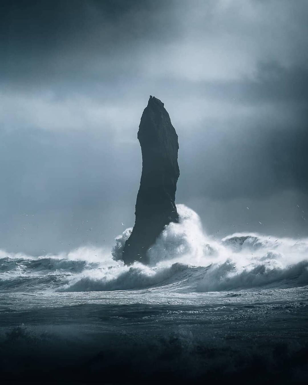 Luke Stackpoole · The Nature Photography Contest