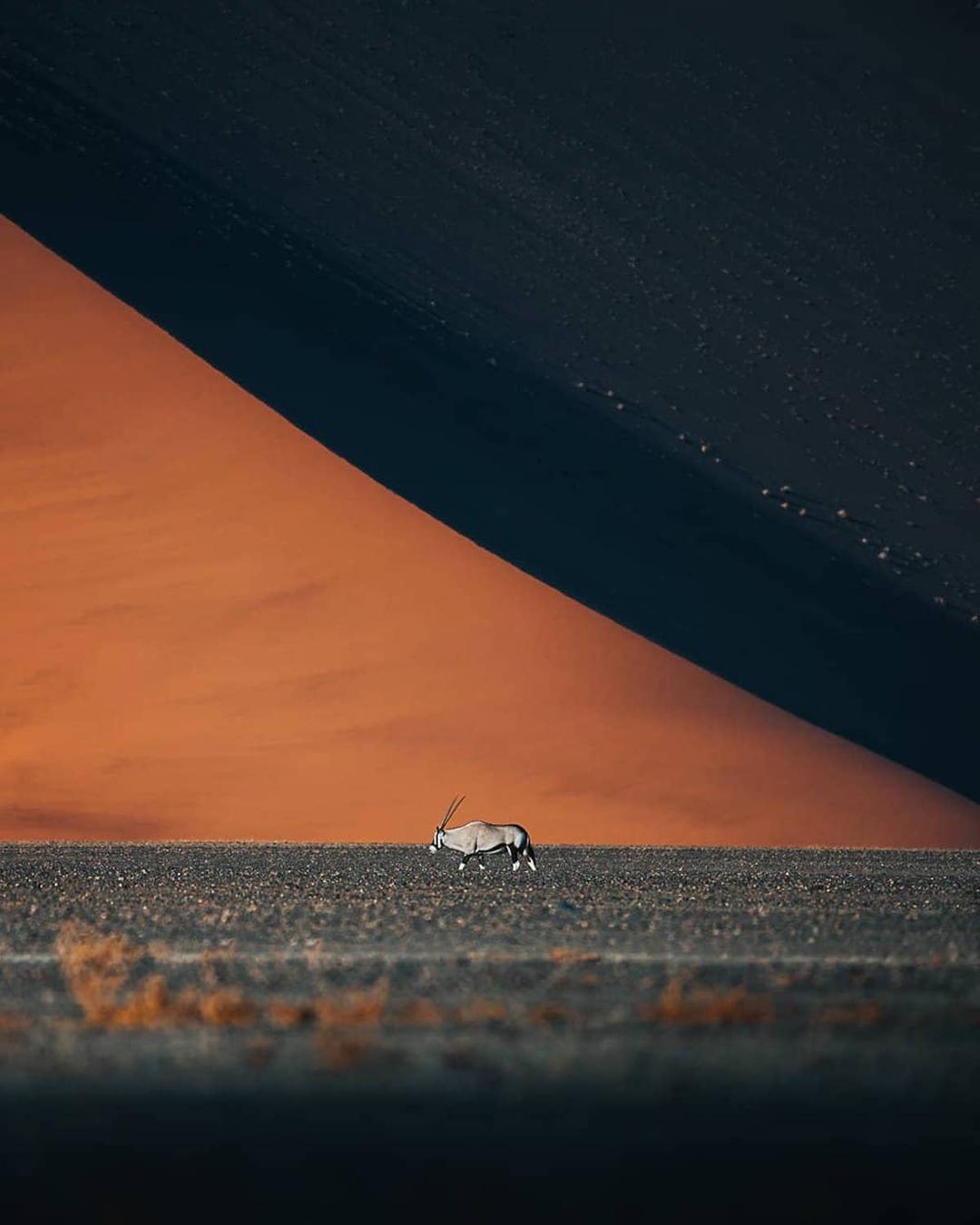 Luke Stackpoole · The Nature Photography Contest